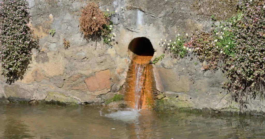 How Long Does Sewage Contamination Last? Expert Guide
